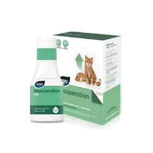 Viyo Recuperation Cat 3x150ml • URBAN PETS